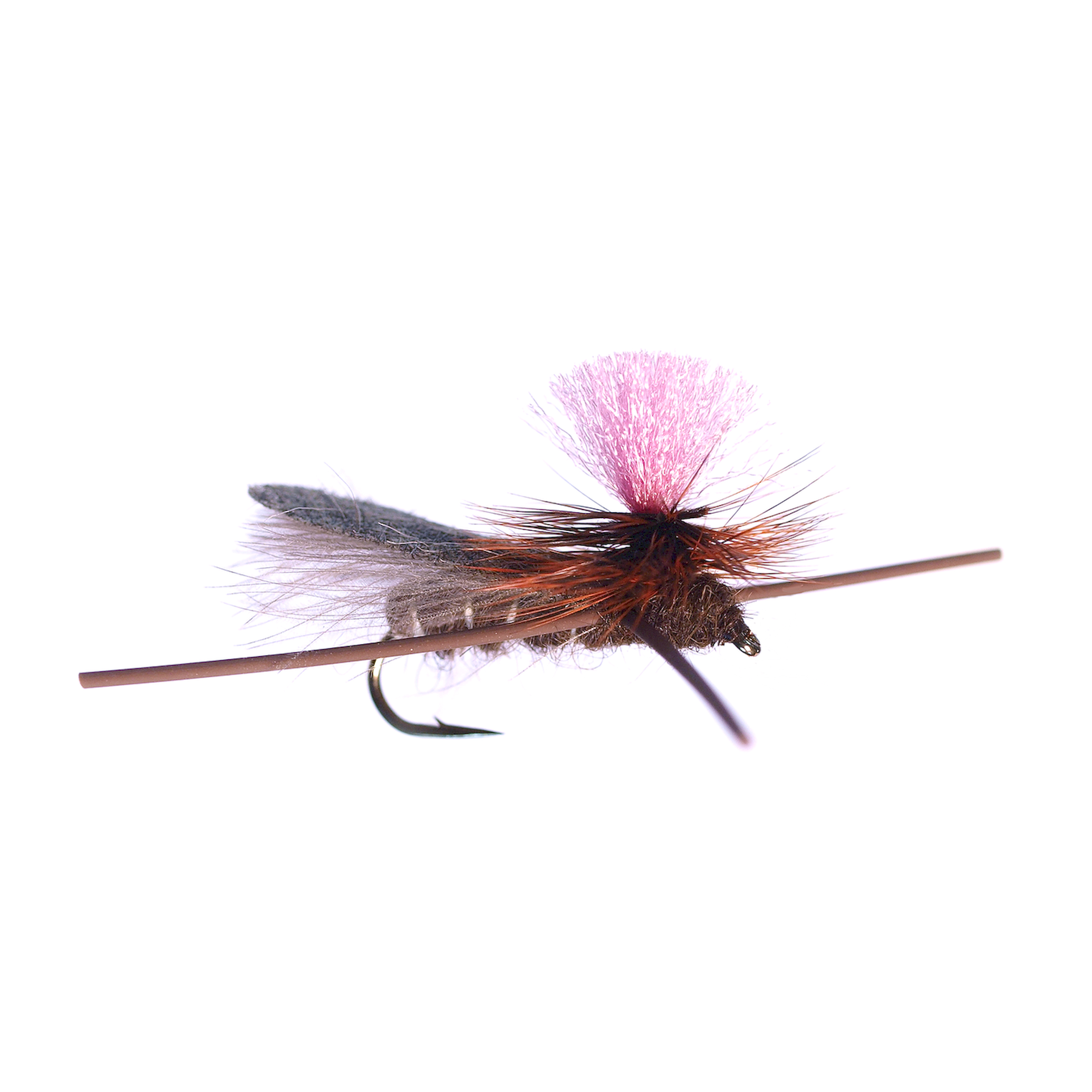 Preseason 2026 Bloom's Parachute Cricket – Yellowstone Fly Goods