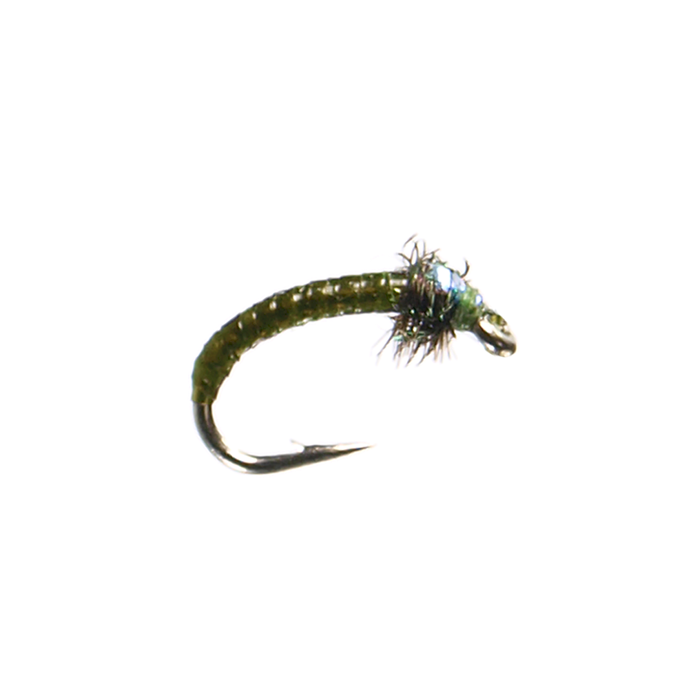 Preseason 2026 Olive Midge Pupa – Yellowstone Fly Goods