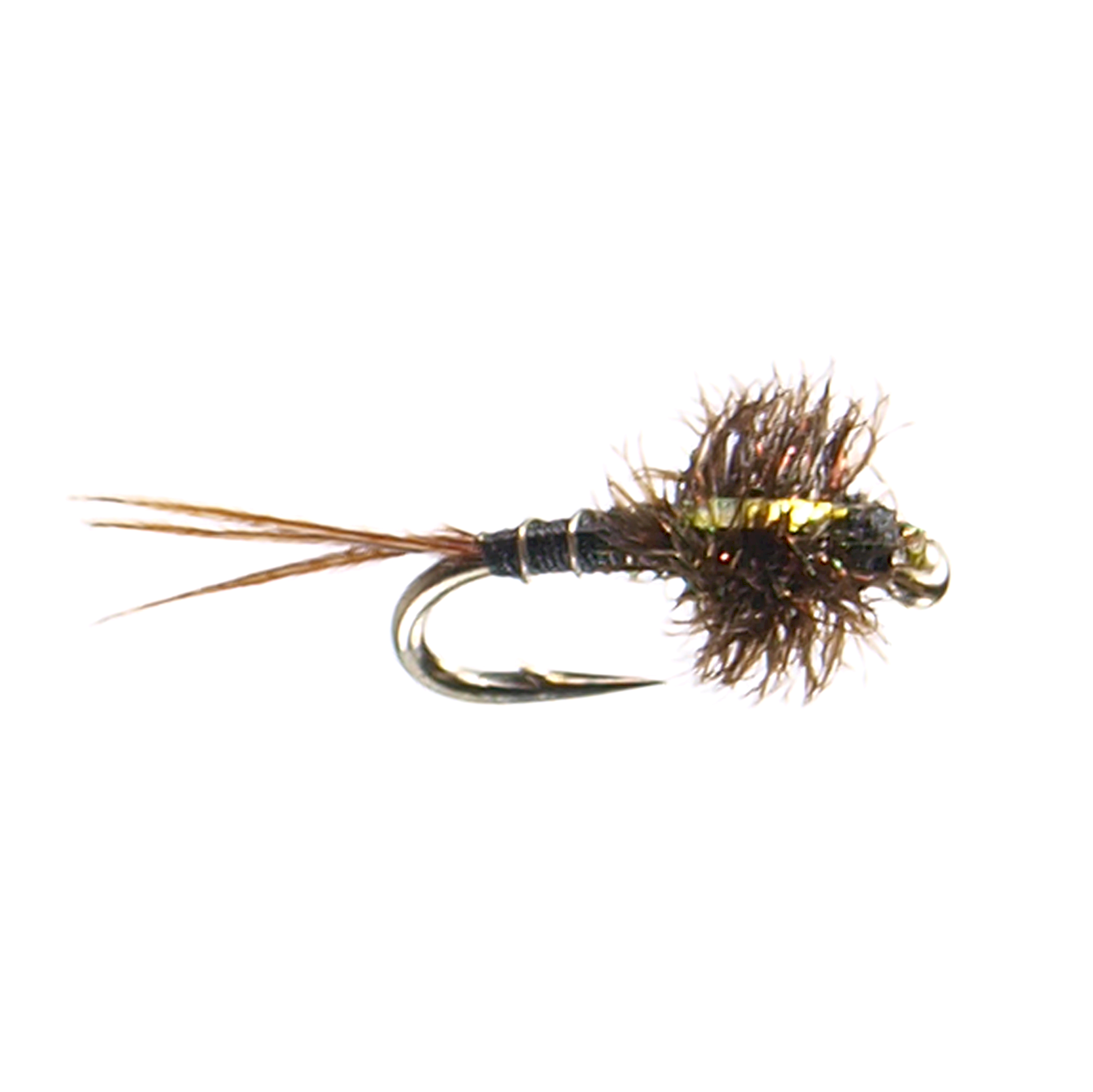 Flashback Black Quill – Yellowstone Fly Goods