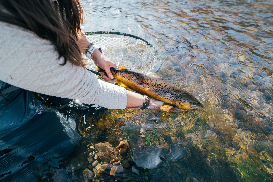 https://yellowstoneflygoods.com/ – Yellowstone Fly Goods