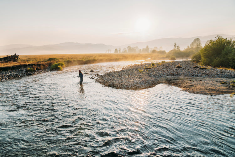 Preseason 2026 – Yellowstone Fly Goods